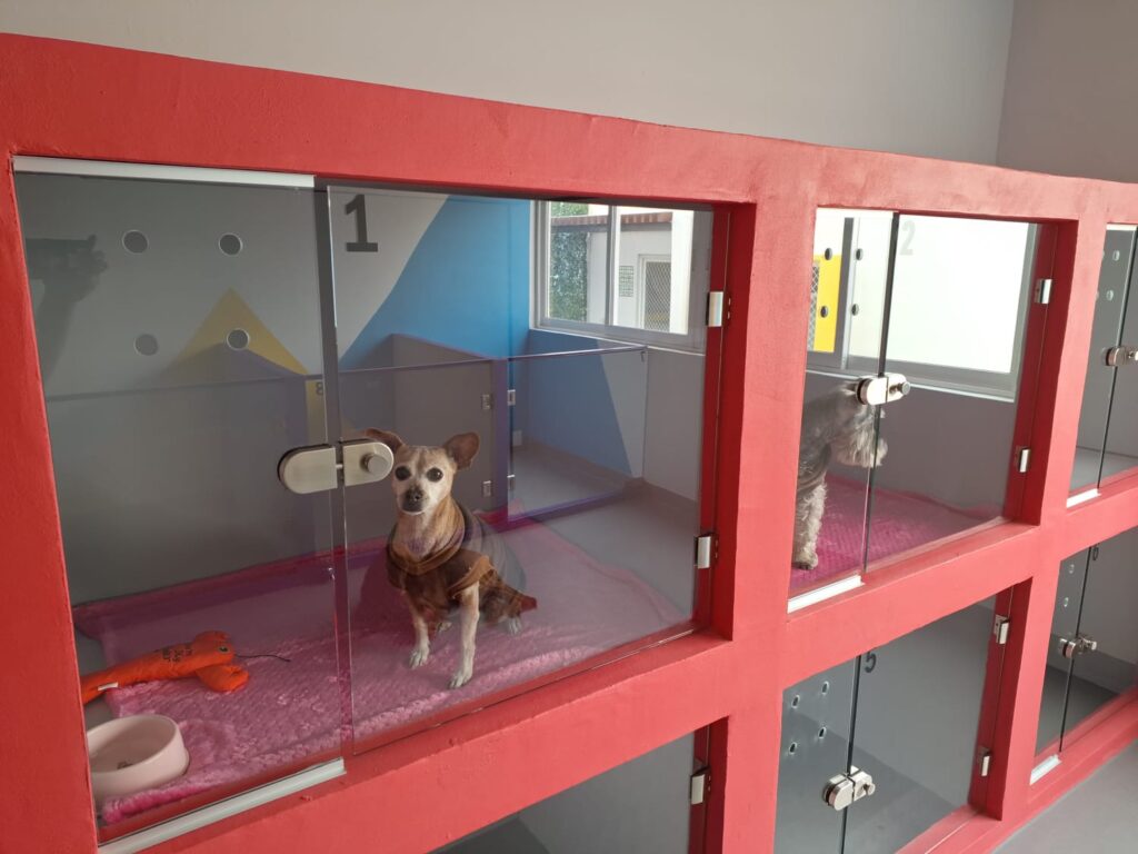 Hotel para perros - WOMI