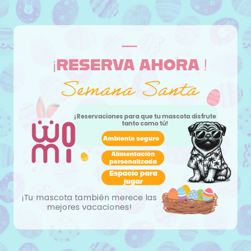 WOMI - Hotel Para Perros y Gatos - Guardería ,Grooming, Baño